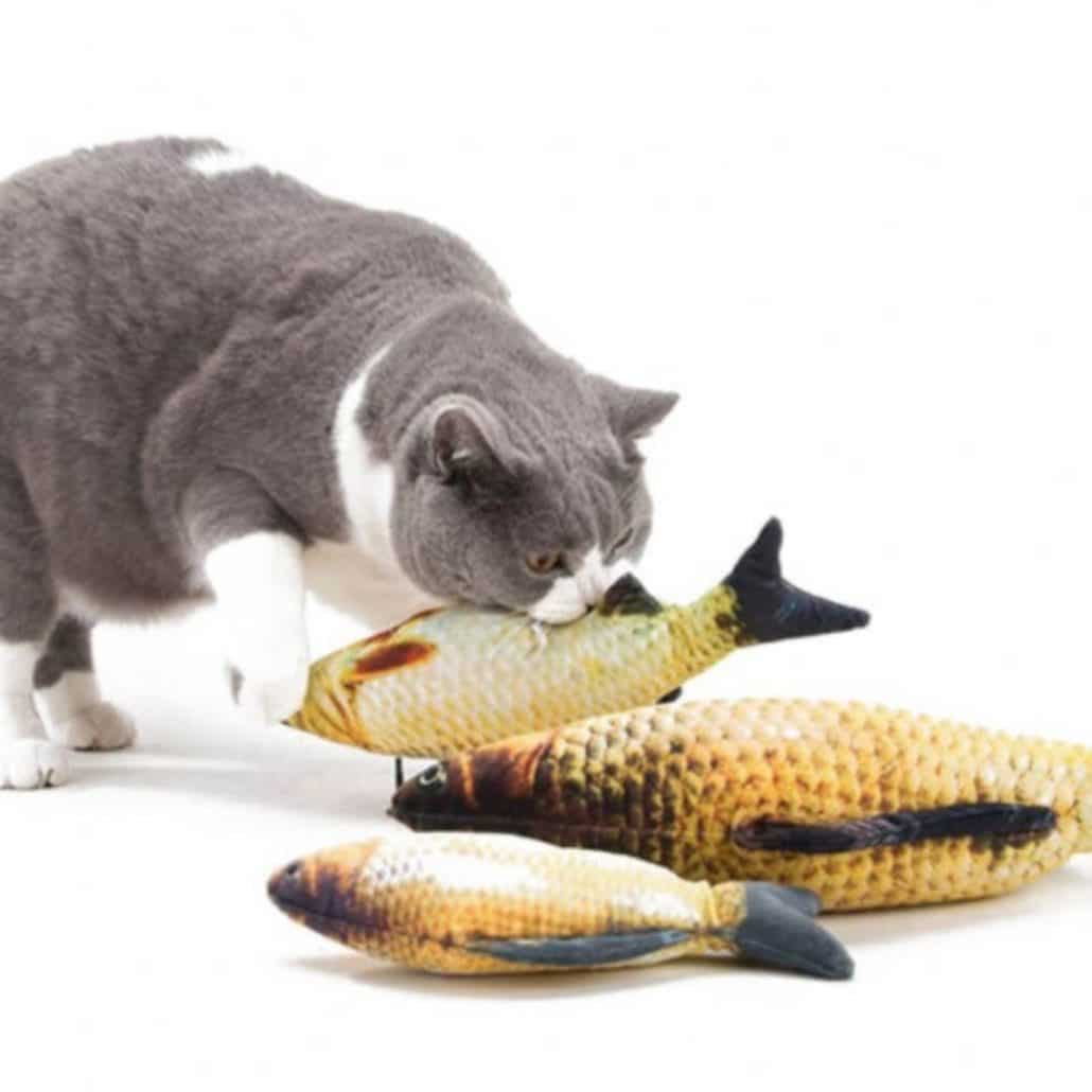 Pez De Juguete Con Cat Nip 60cm - Chimuelo.cl