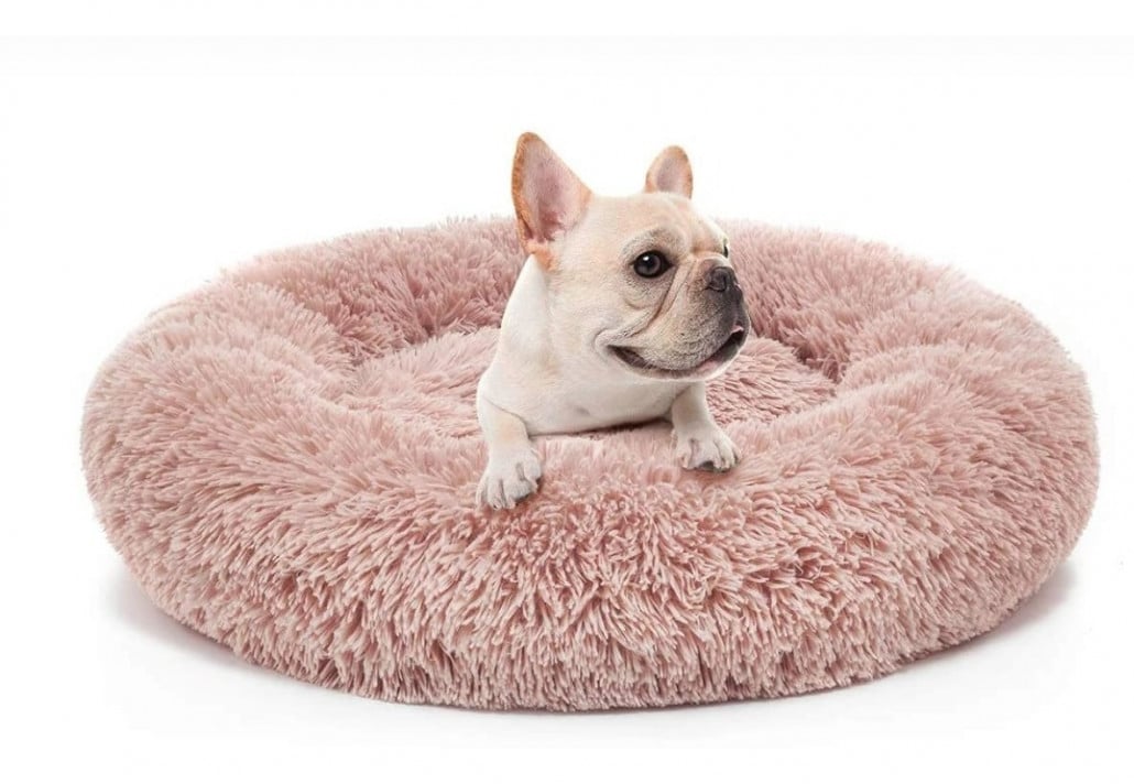 Chimuelo.cl – Alimento y Accesorios para mascotas exóticas