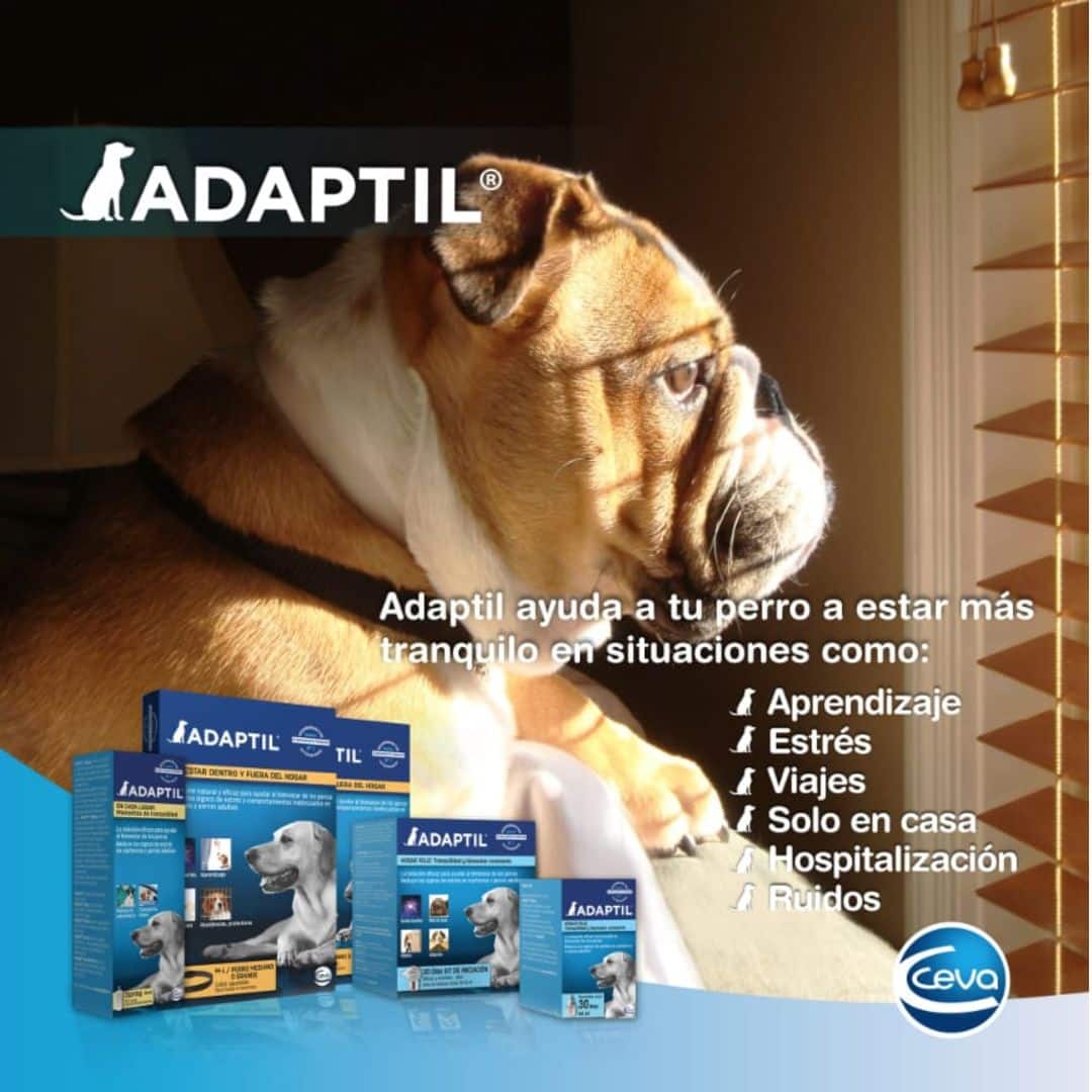 ADAPTIL Calm Difusor 48ML DGÑ – Chimuelo.cl
